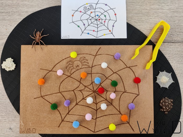 Spinnenweb :: Kidwood